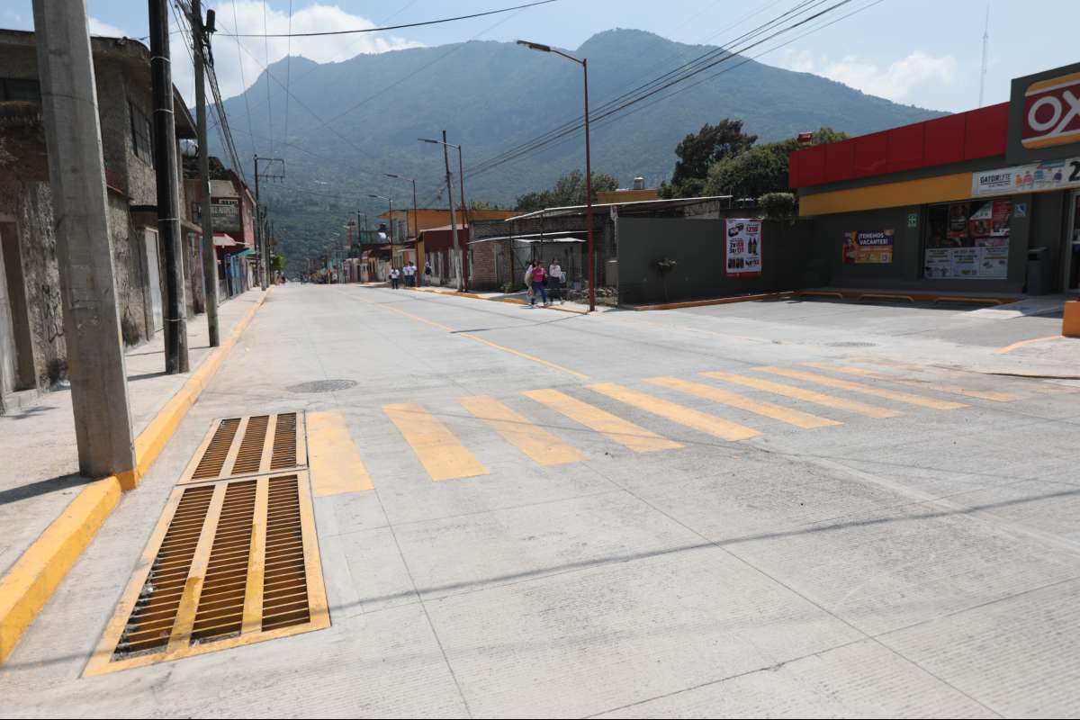 Ciudad de los Ahuehuetes, nuevo espacio de conservación y patrimonio de ...